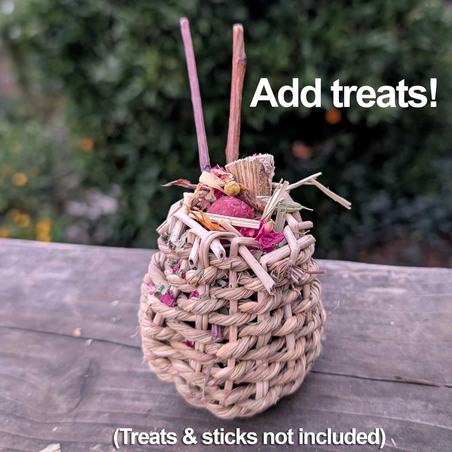 Sea Grass Forage Cup™| NEW – BinkyBunny.com House Rabbit Store