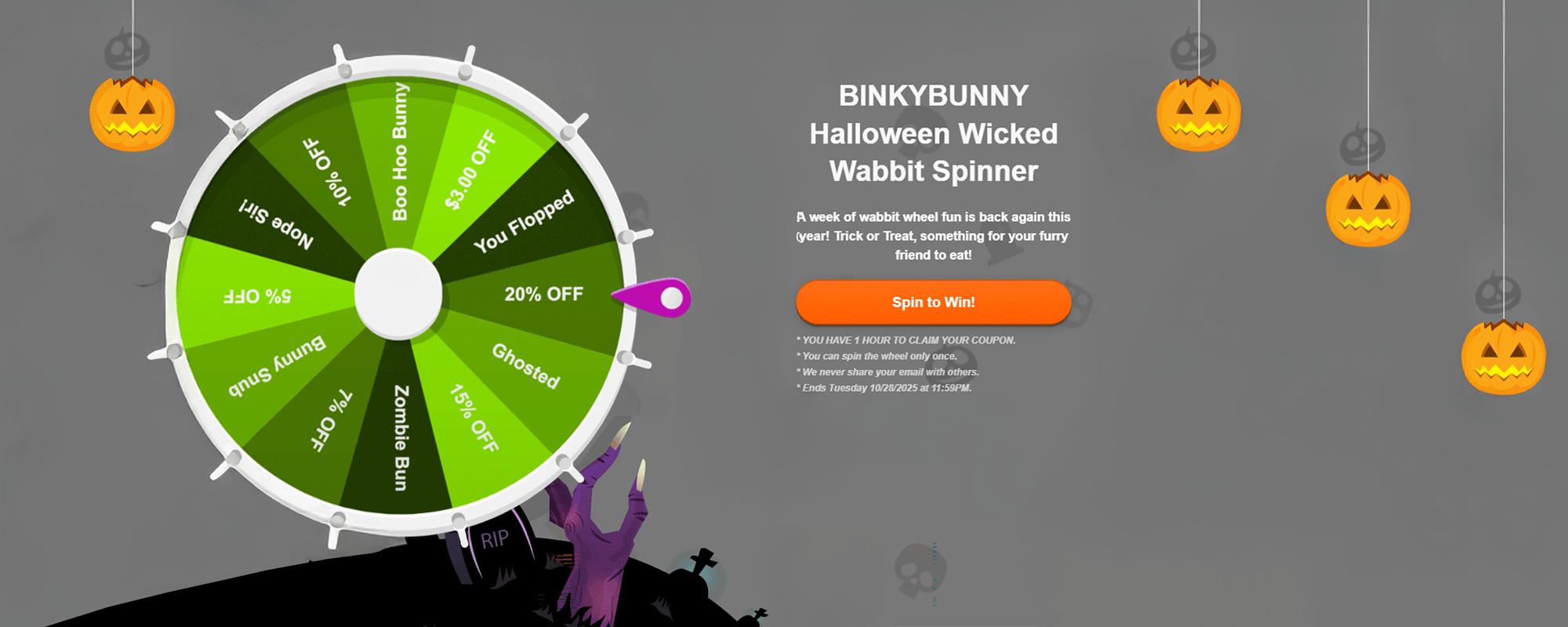 BinkyBunny Store – BinkyBunny.com House Rabbit Store