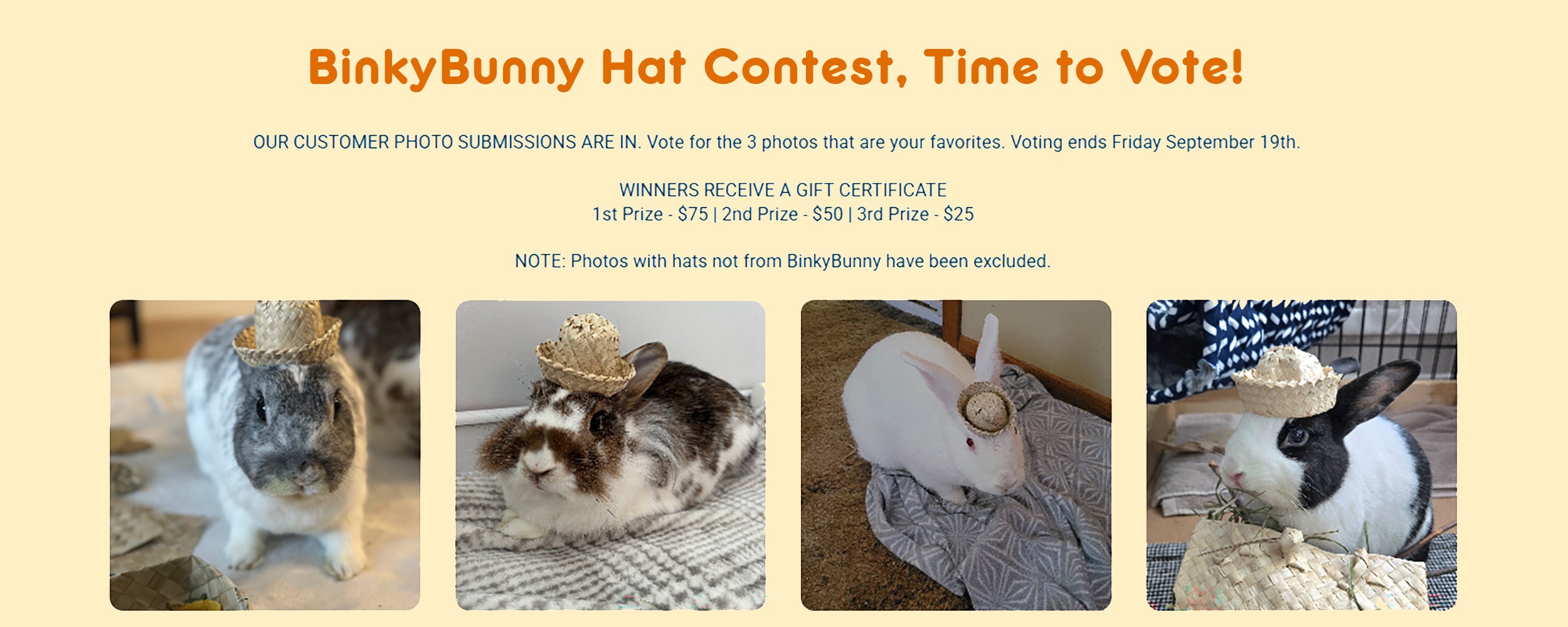 BinkyBunny Store – BinkyBunny.com House Rabbit Store