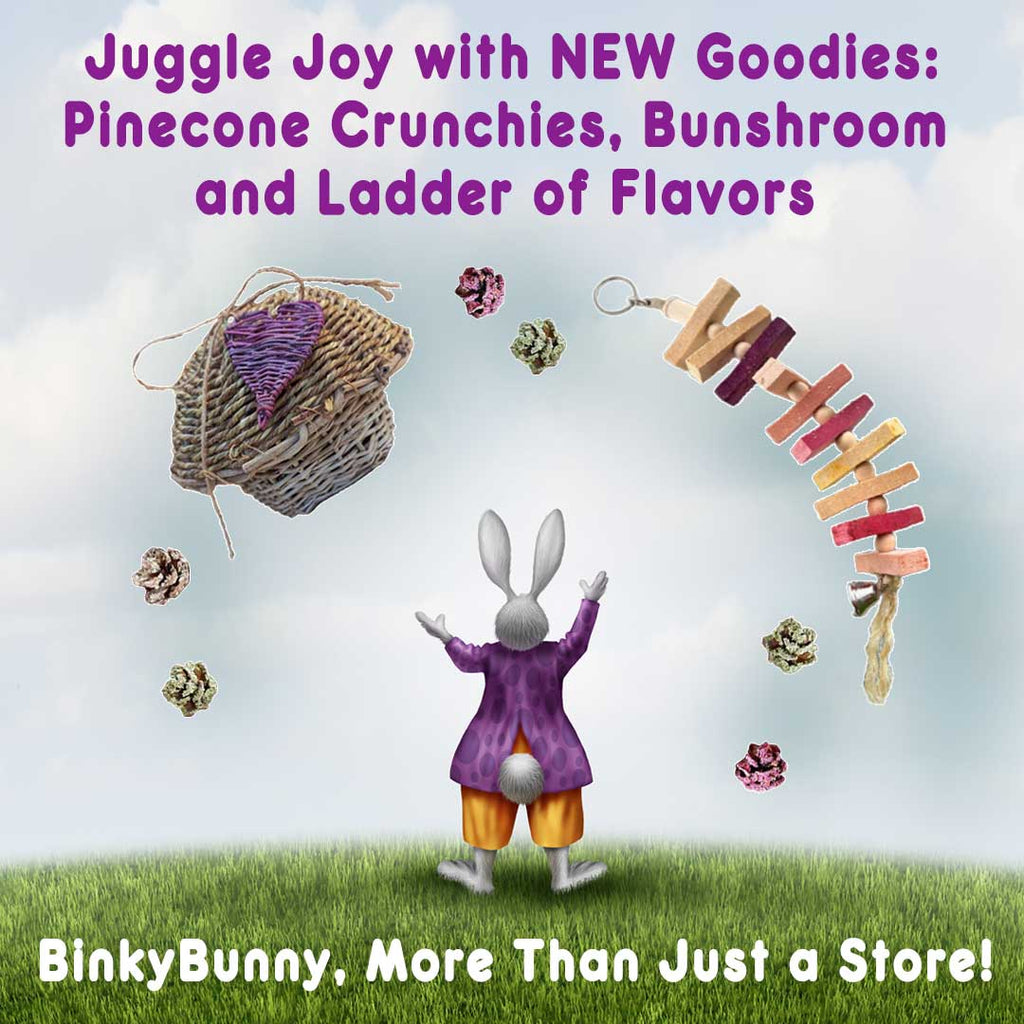 BinkyBunny Store – BinkyBunny.com House Rabbit Store
