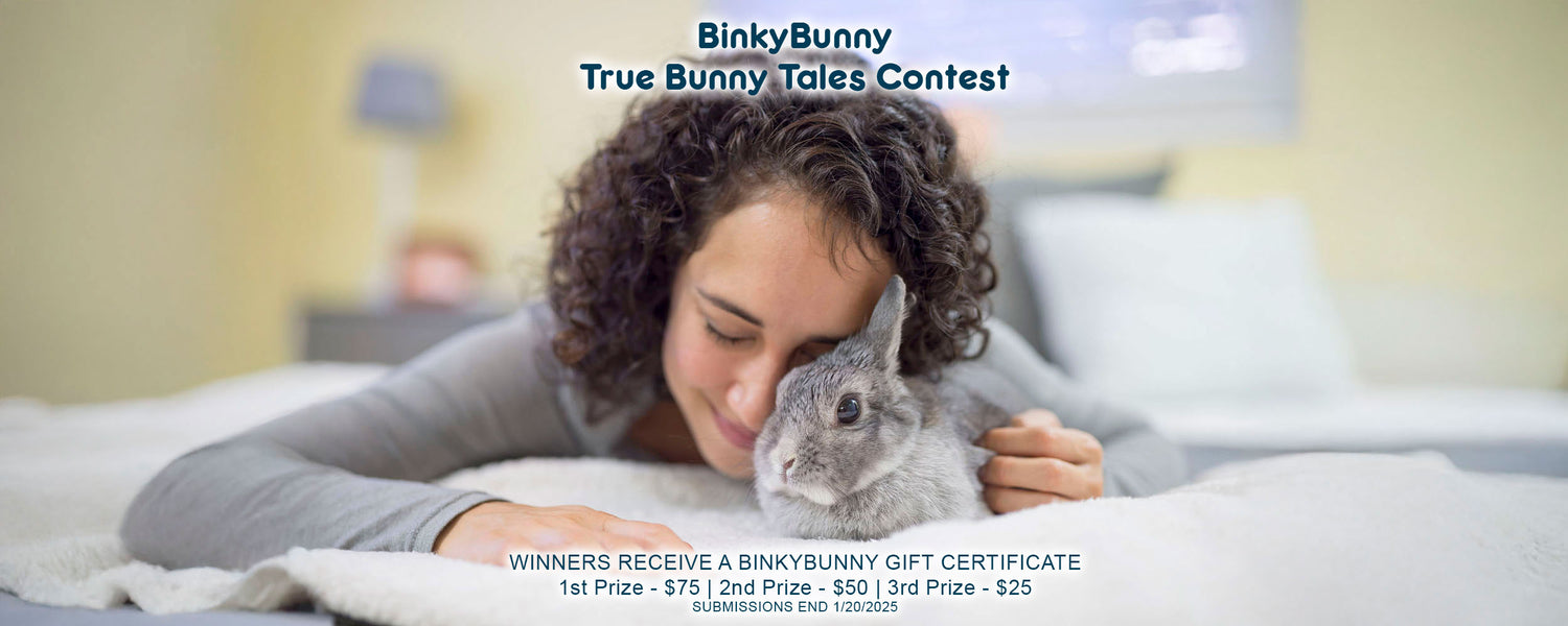 BinkyBunny Store – BinkyBunny.com House Rabbit Store