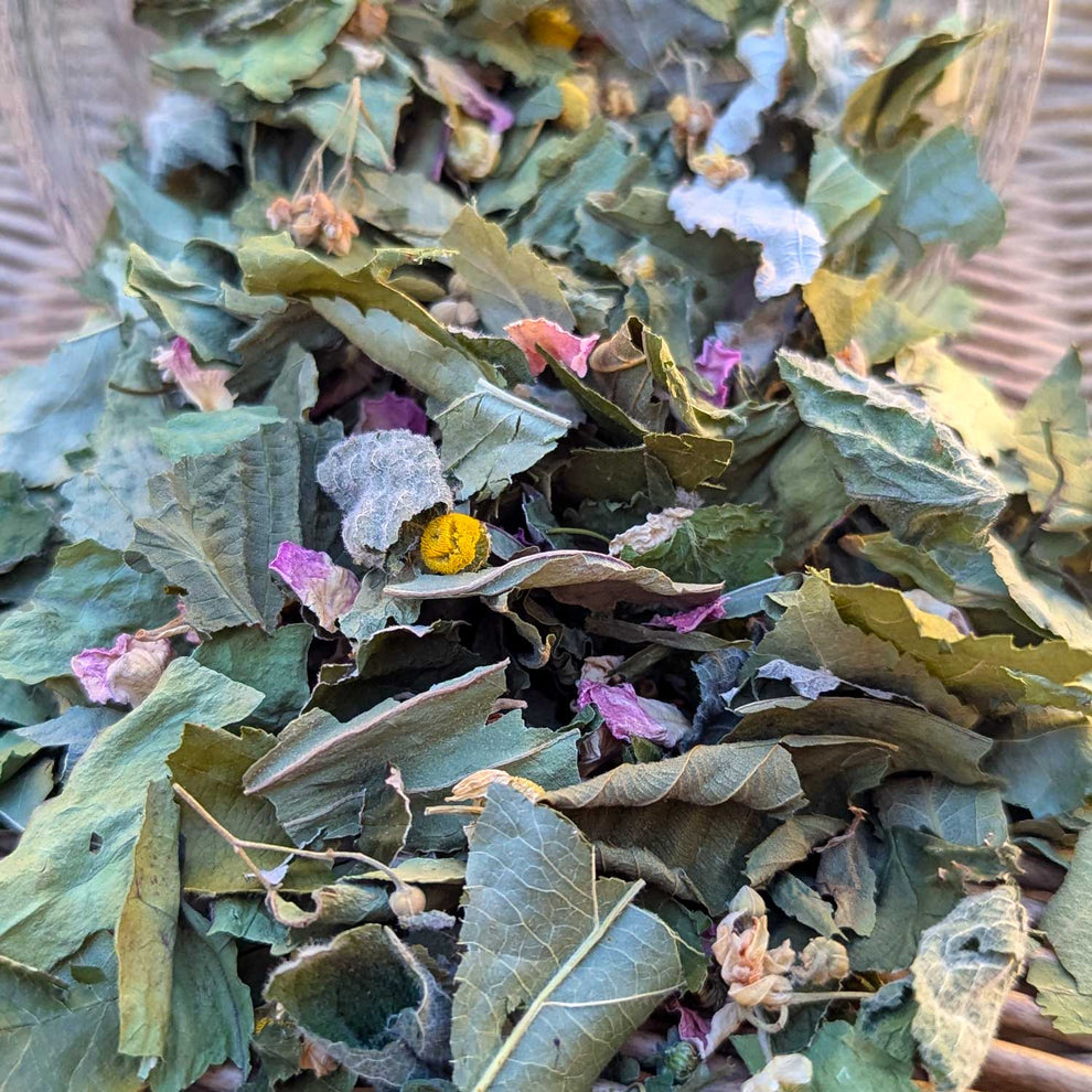 Rest & Digest – BinkyBunny.com House Rabbit Store