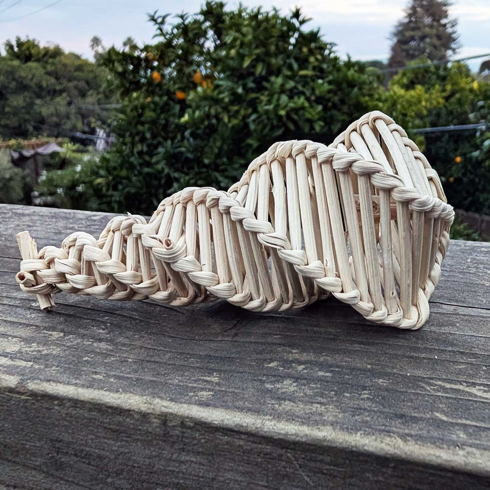 Binky Vine Tornado™ | NEW – BinkyBunny.com House Rabbit Store