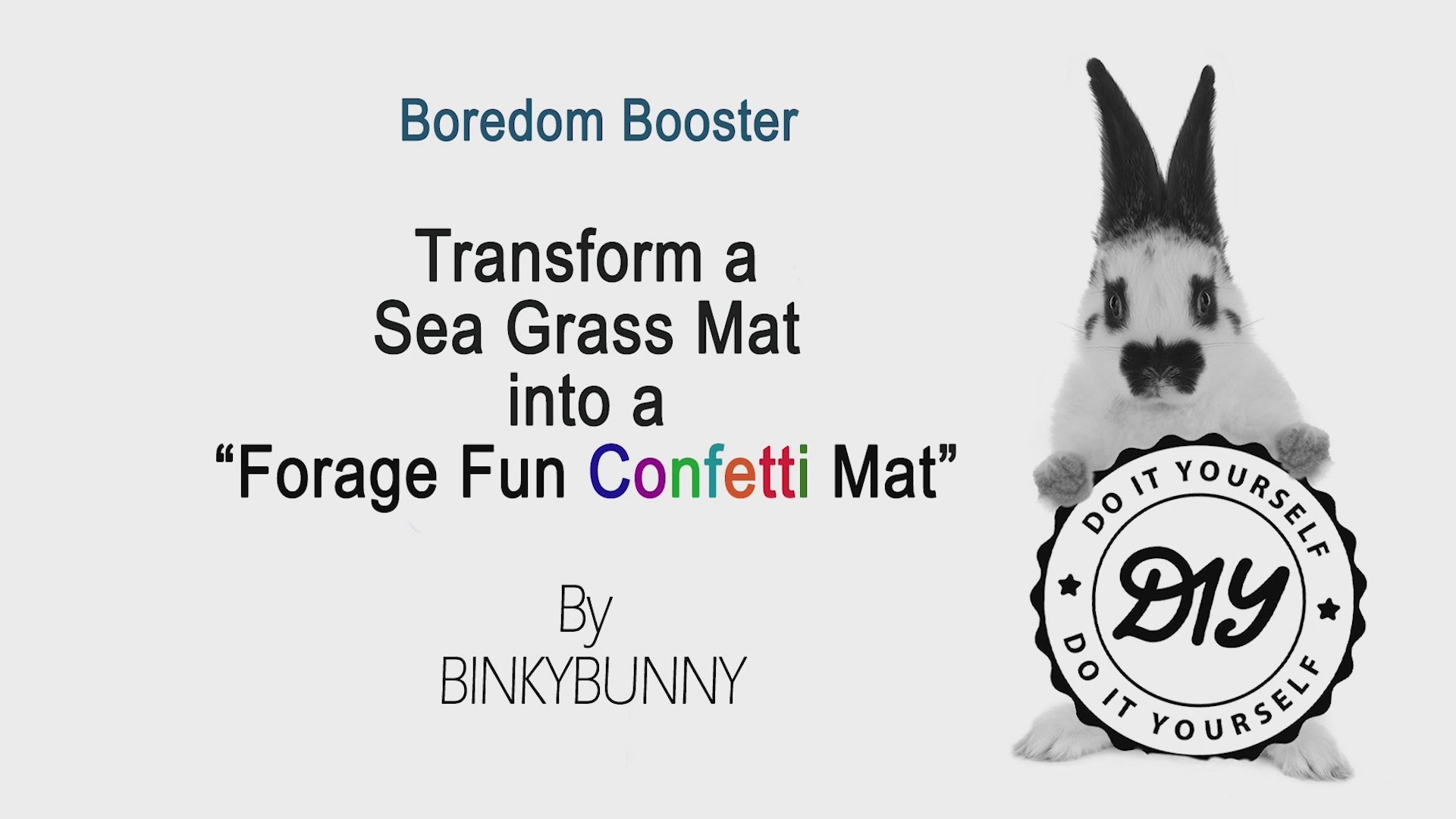BinkyBunny Store – BinkyBunny.com House Rabbit Store