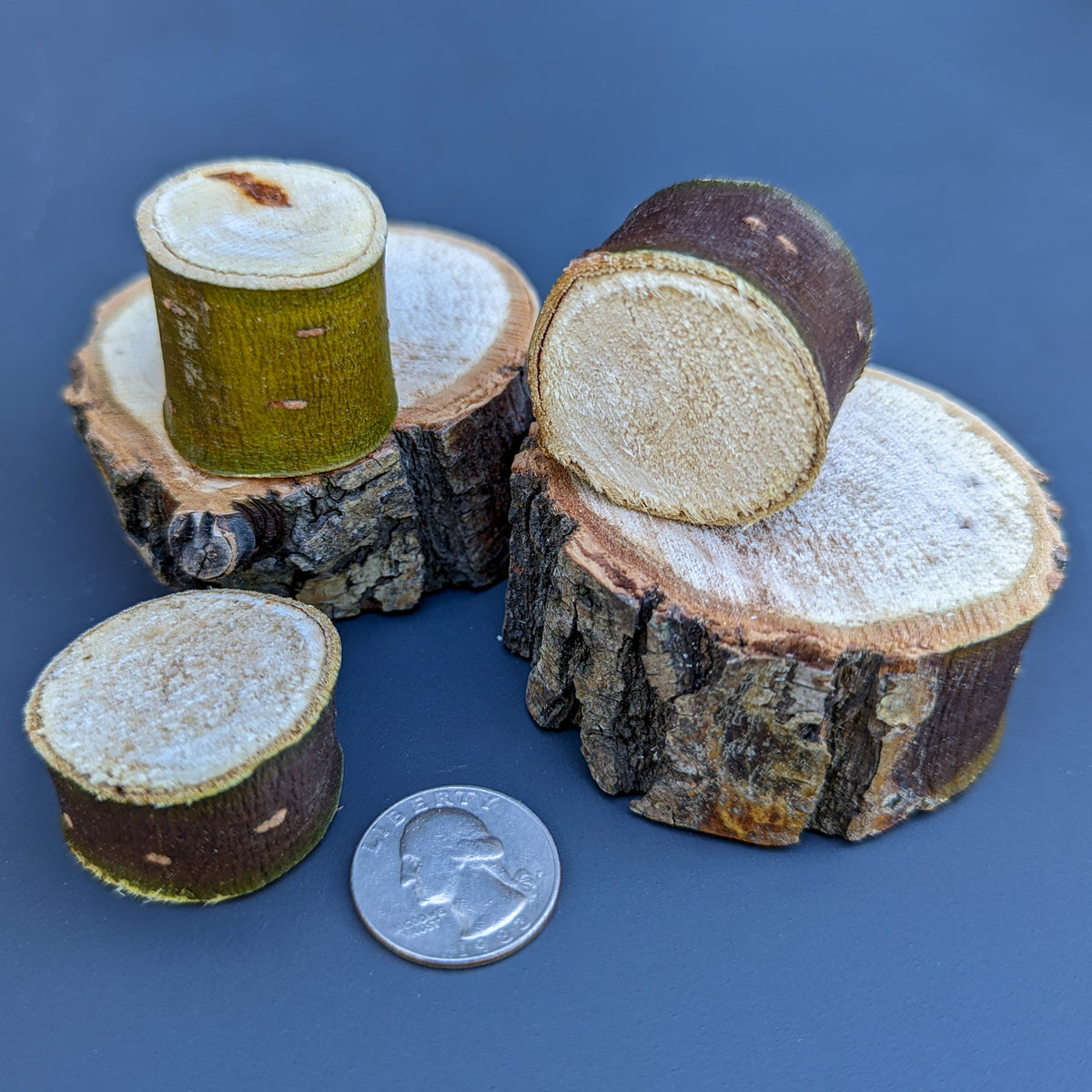 Willow Chunk Chews – BinkyBunny.com House Rabbit Store