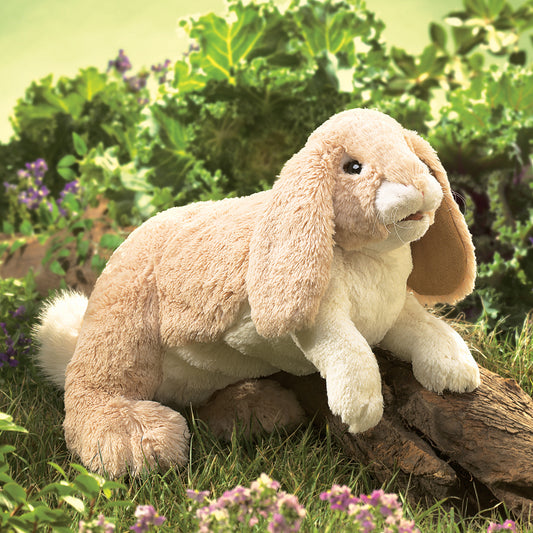 Fun Stuff – BinkyBunny.com House Rabbit Store